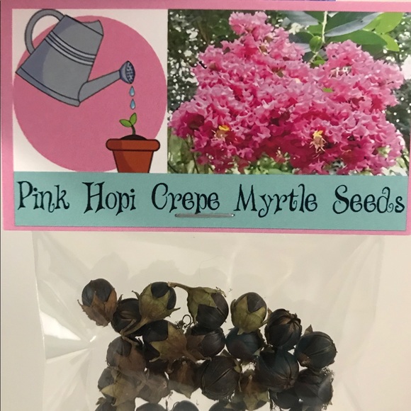 Jillerellas Castle | Other | Rare Pink Hopi Crepe Myrtle Seeds Seedpods ...